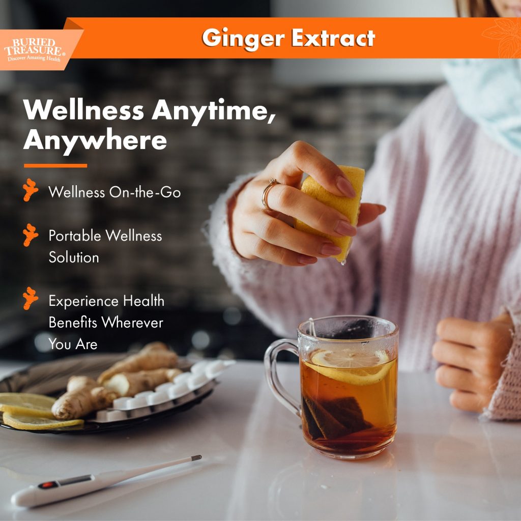 Ginger Drops – Alcohol-Free Liquid Ginger Root Extract for Natural ...